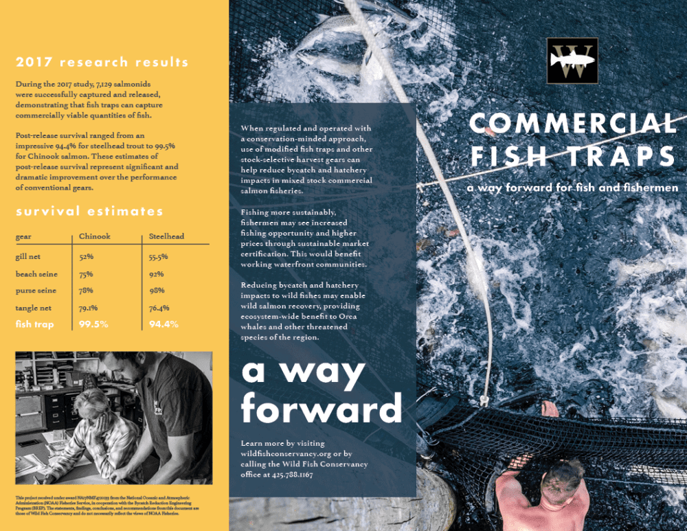 The Fish Trap Journal – Page 5 – Wild Fish Conservancy Northwest