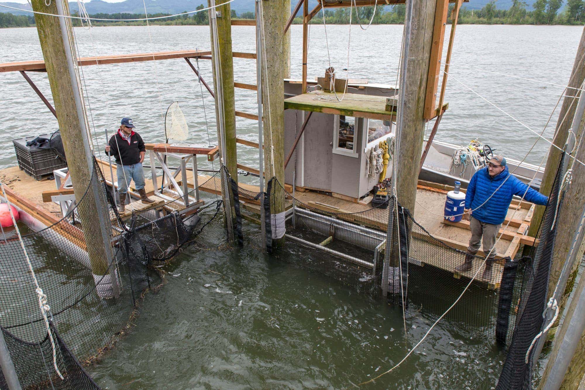 August 27, 2019 – Wild Fish Conservancy Northwest