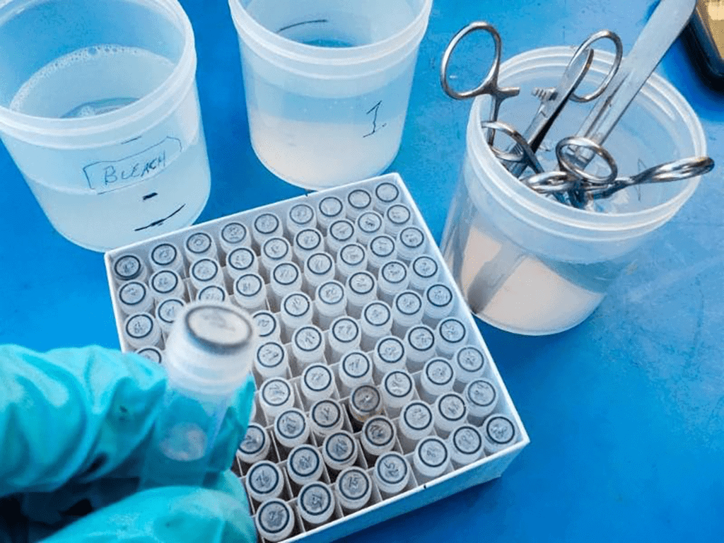 Detecting ISAv – Wild Fish Conservancy Northwest