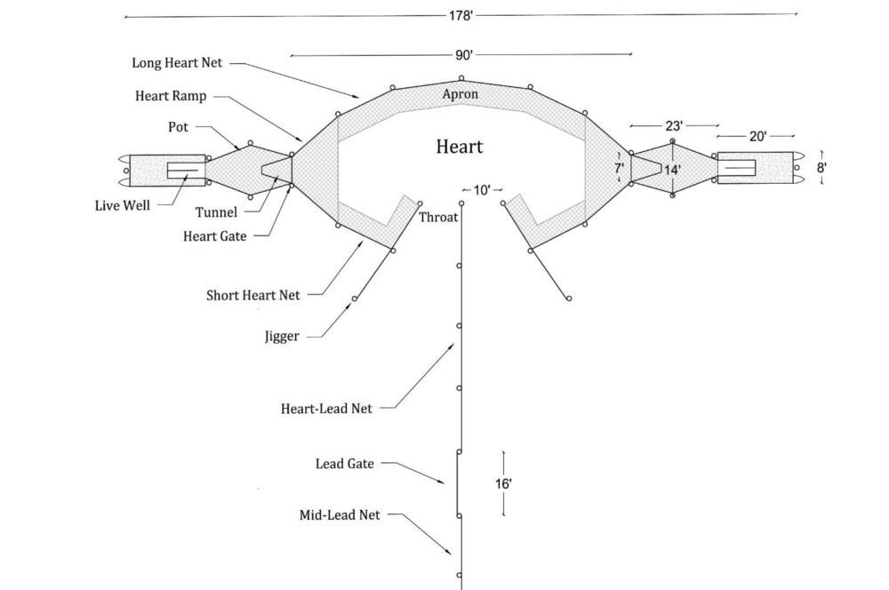 New Beginnings – Wild Fish Conservancy Northwest