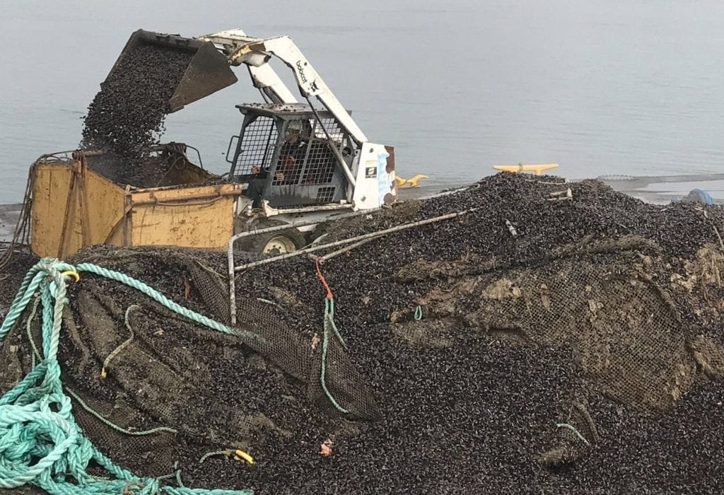 Cooke Aquaculture to pay $2.75 million, ending WFC lawsuit over net pen ...