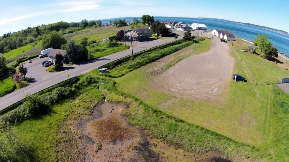 eDNA – Wild Fish Conservancy Northwest