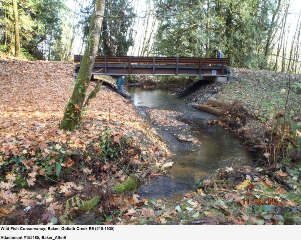 Goliath Creek Family Forest Fish Passage Project – Wild Fish ...