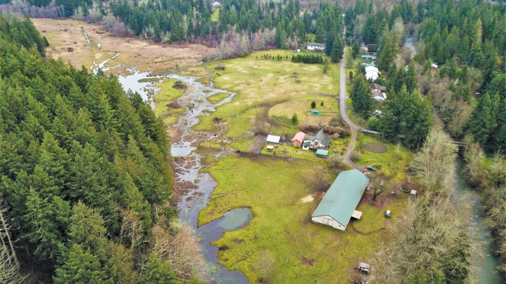 Protecting & Restoring Habitat – Wild Fish Conservancy Northwest