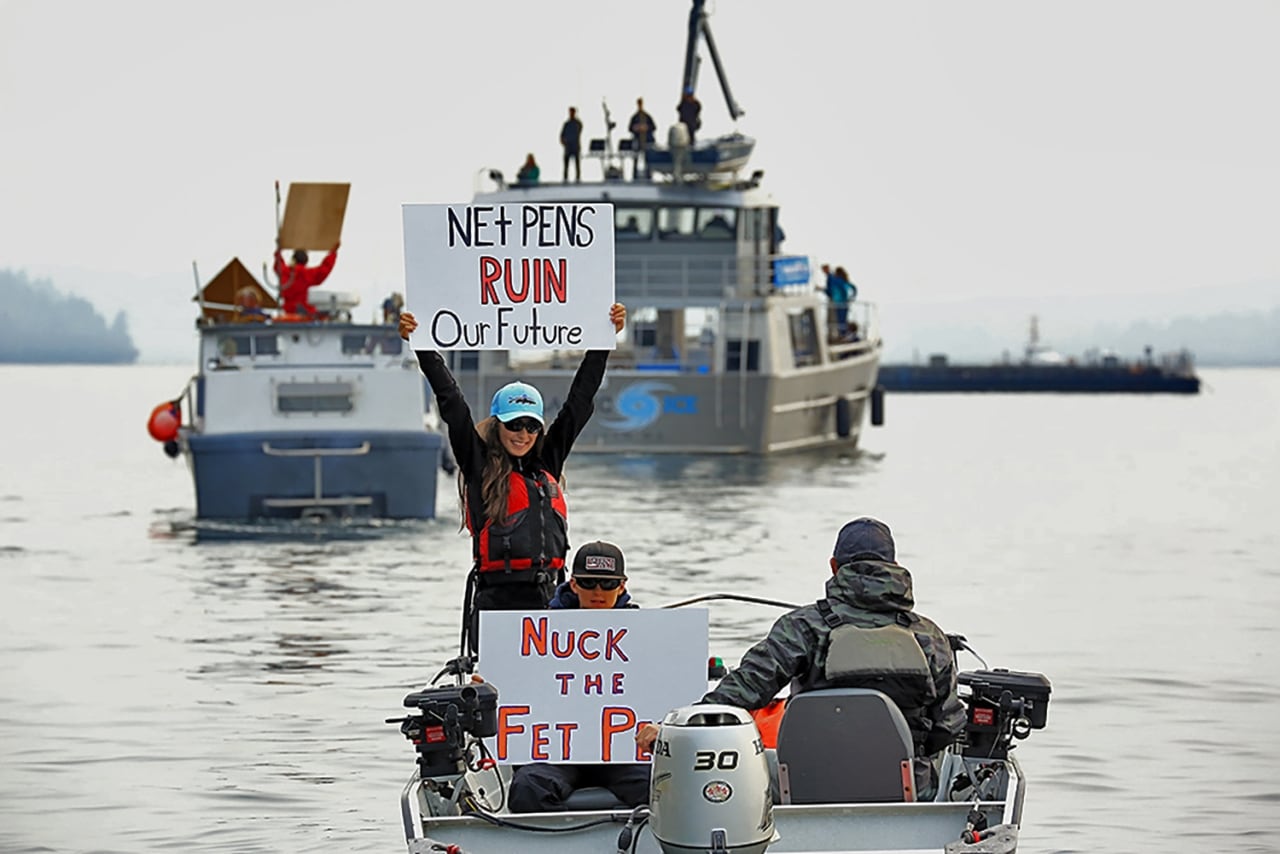 SO MUCH GOOD NEWS TO SHARE FOR WILD FISH! – Wild Fish Conservancy Northwest