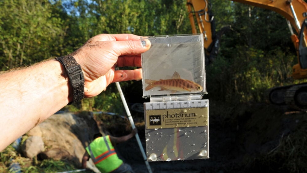 Thomas Creek Family Forest Fish Passage Project – Wild Fish Conservancy ...