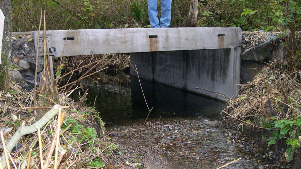 Fowler Creek Forest Family Fish Passage Project – Wild Fish Conservancy ...