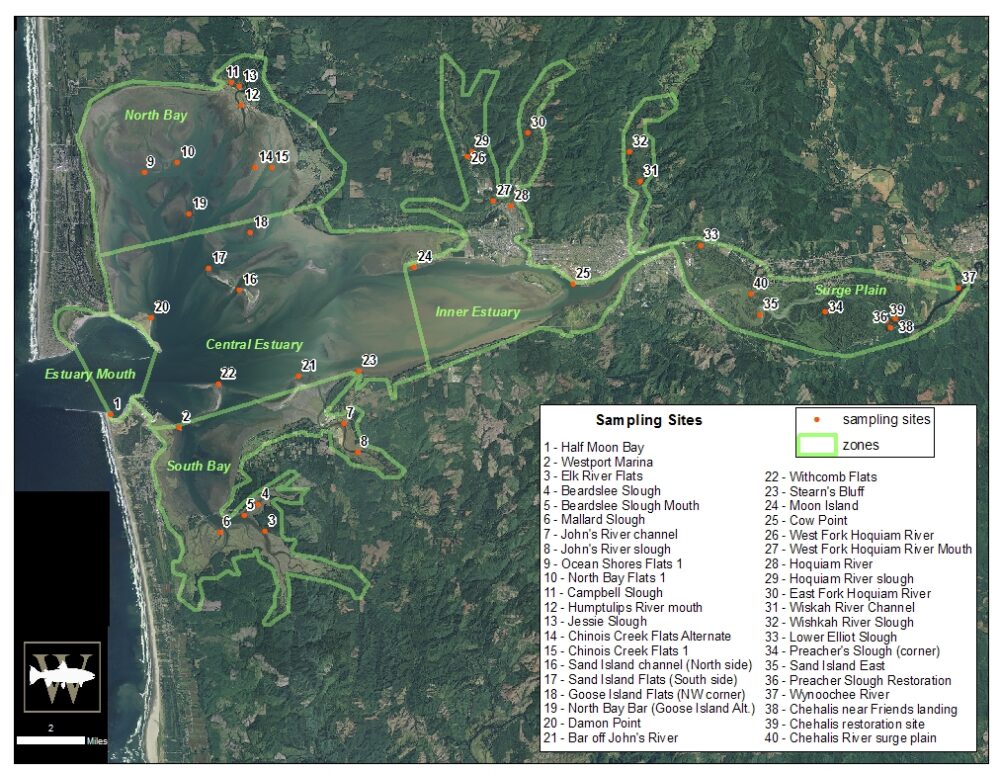 Grays Harbor Juvenile Fish Use Assessment – Wild Fish Conservancy Northwest