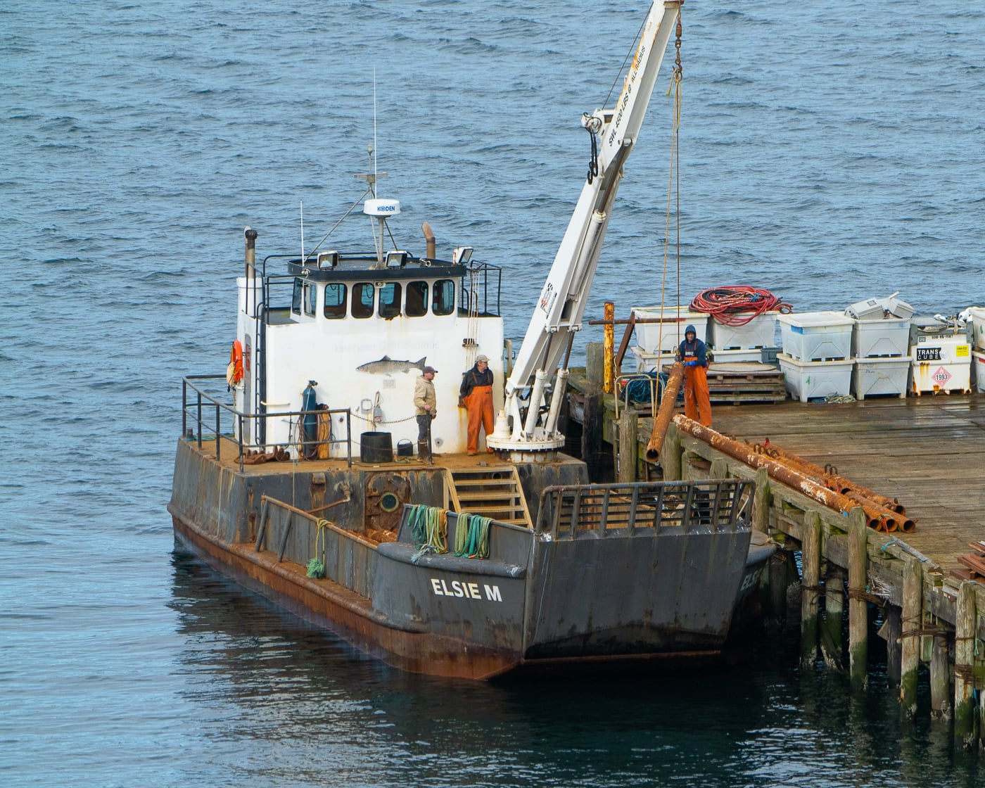 After 40 years, the Net Pen Industry is Pulling Up Anchors, Towing Away ...