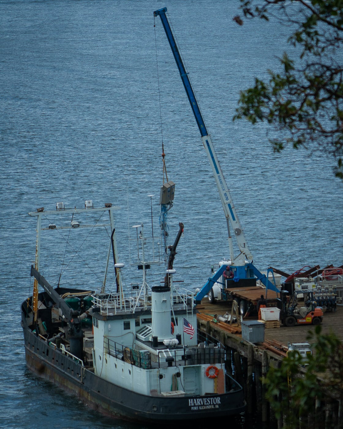 After 40 years, the Net Pen Industry is Pulling Up Anchors, Towing Away ...