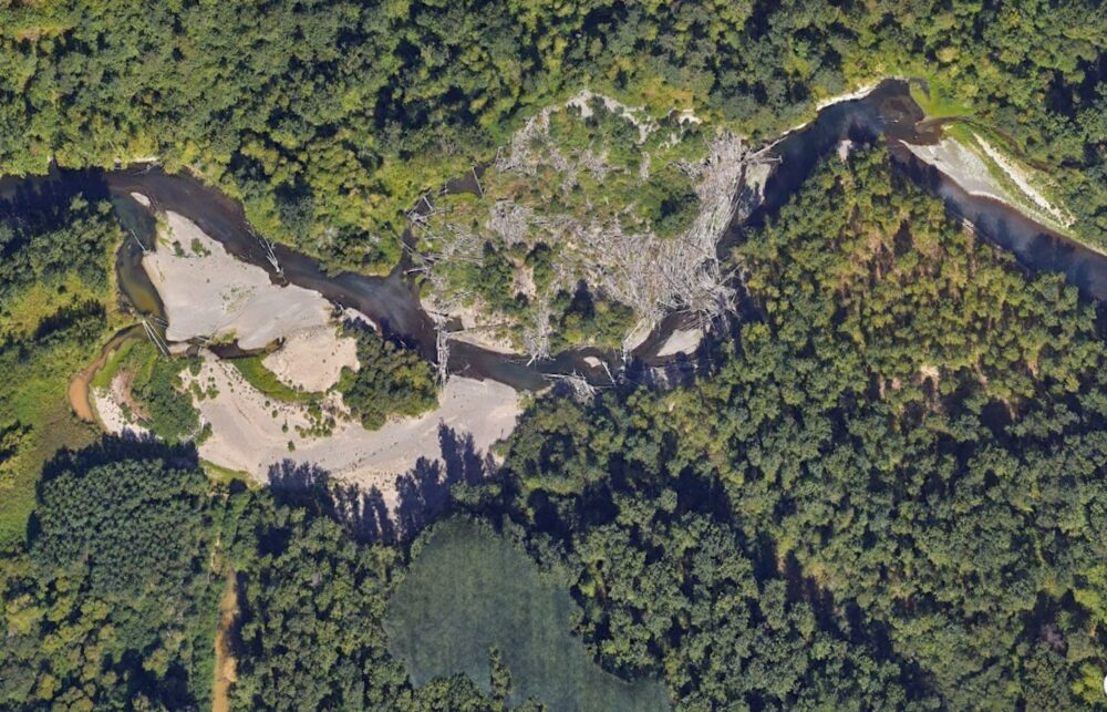 Rivers, Trees, and Salmon: Join us for an Evening with Dr. Tim Abbe ...